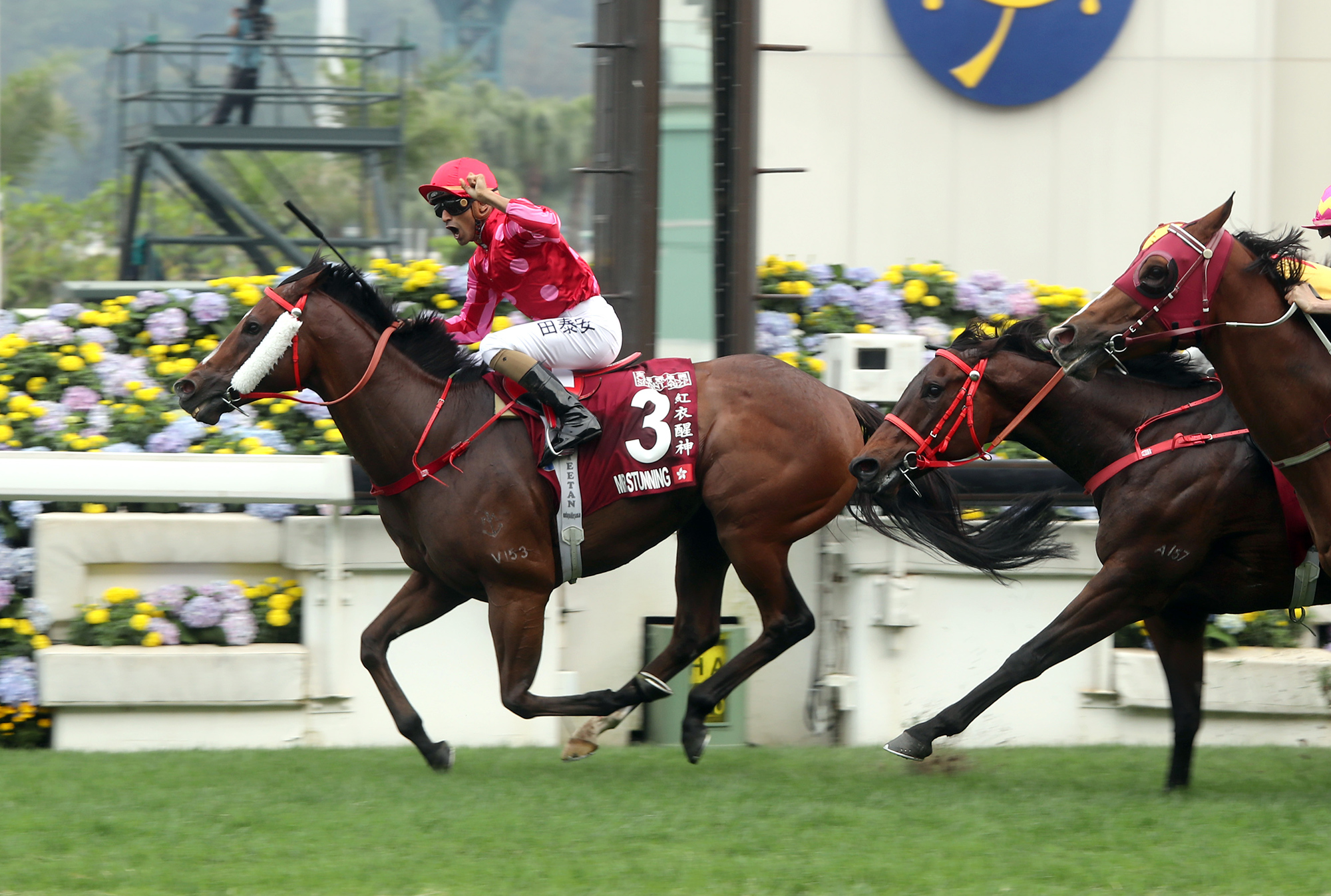 Teetan not about to rest on laurels, eyes next 500 - iRace